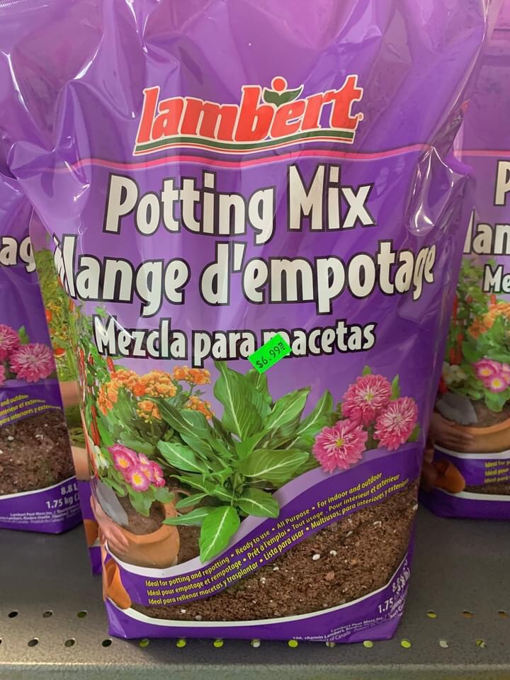 Seed Racks Now In! – L'Ami's Garden Centre