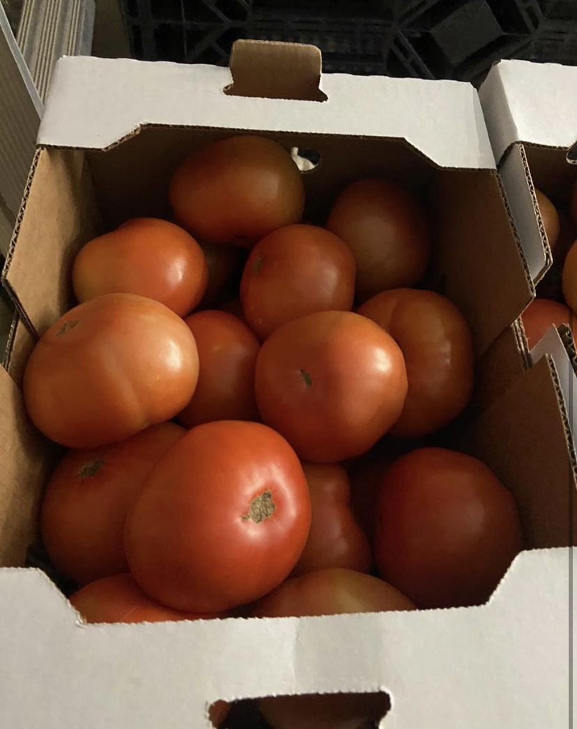 🍅🍅 Roma & field tomatoes available 🍅 🍅 – L'Ami's Garden Centre