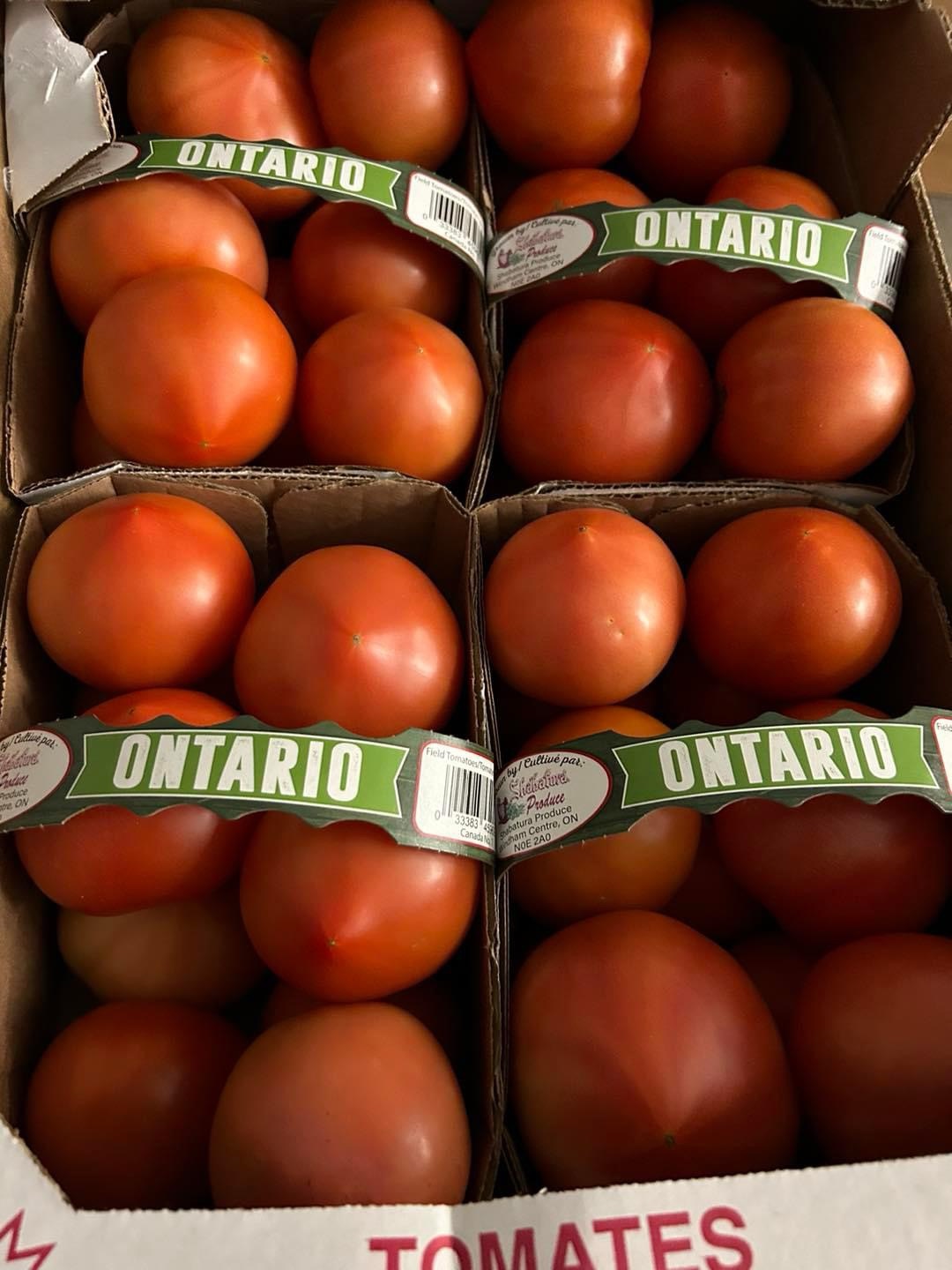 🍑ONTARIO Peaches🍑 🍅Field Tomatoes🍅 – L'Ami's Garden Centre