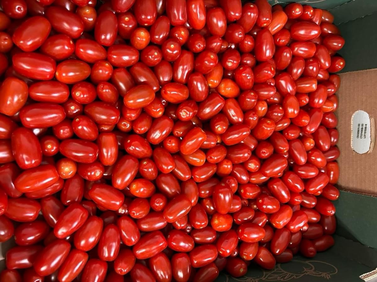 🍑ONTARIO Peaches🍑 🍅Field Tomatoes🍅 – L'Ami's Garden Centre