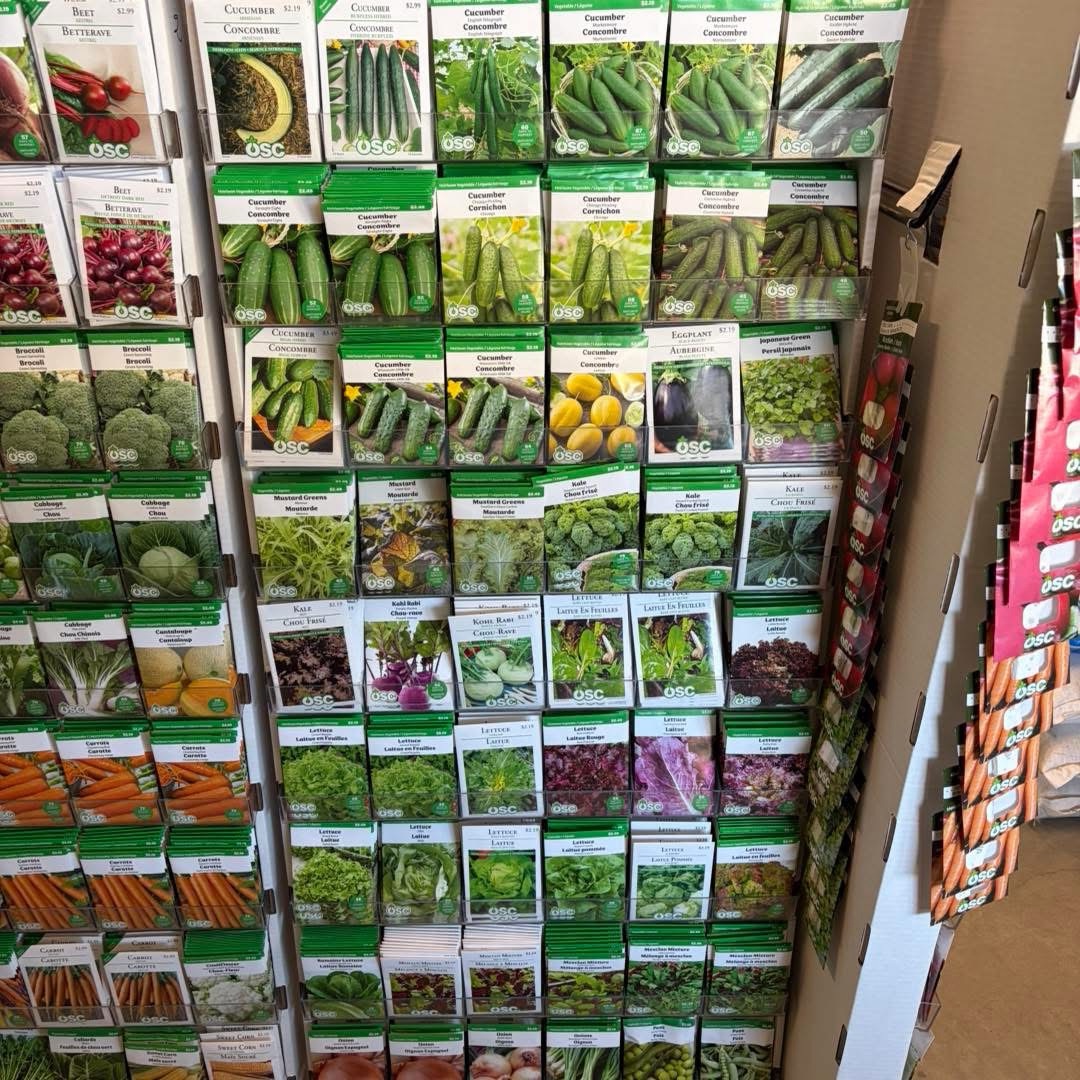 SEED RACKS NOW HERE!! – L'Ami's Garden Centre